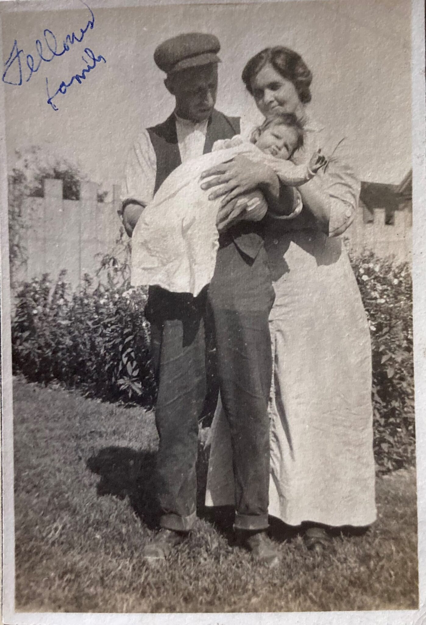 From the Collection: George and Euphemia Fellows - Martin House